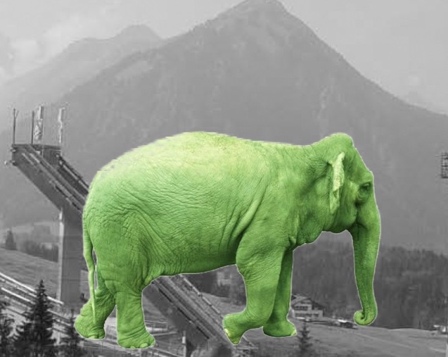 Seminar "Green Elephants"